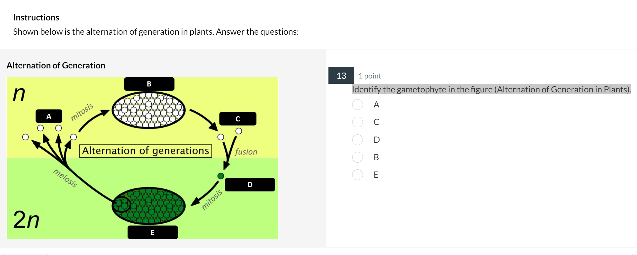 Solved Instructions Shown below is the alternation of | Chegg.com