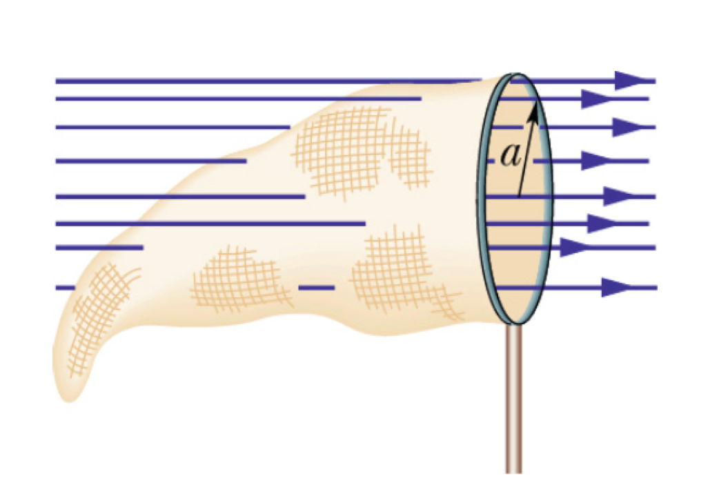 Solved a butterfly net is in a uniform electric field of | Chegg.com