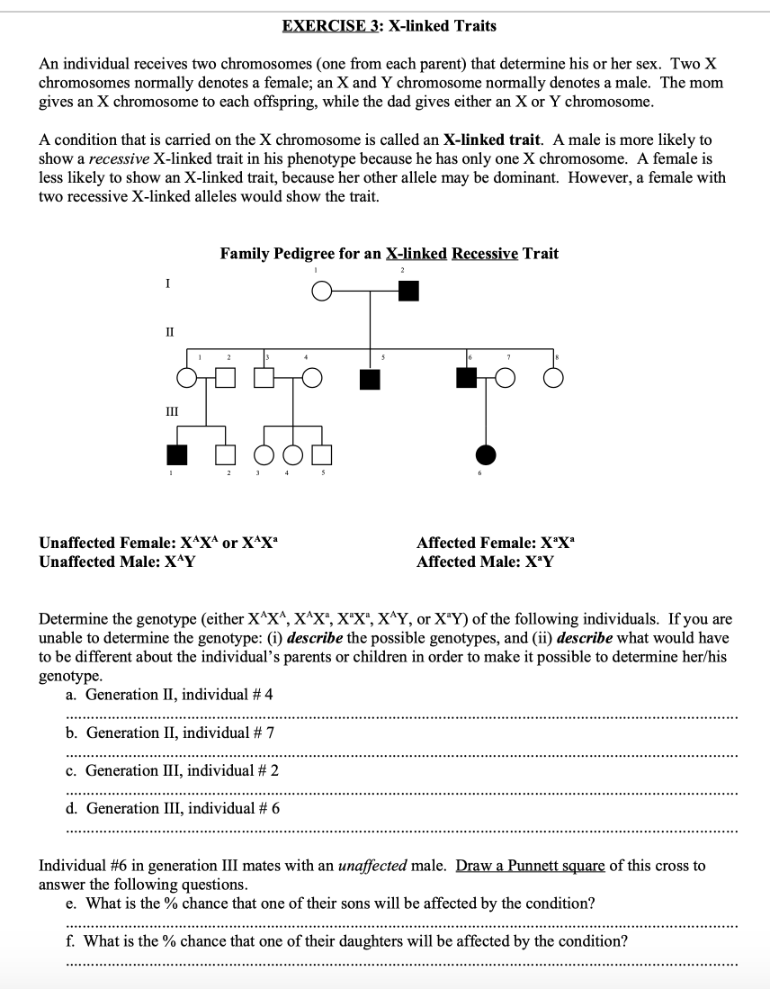 Solved EXERCISE 3: X-linked Traits An individual receives | Chegg.com