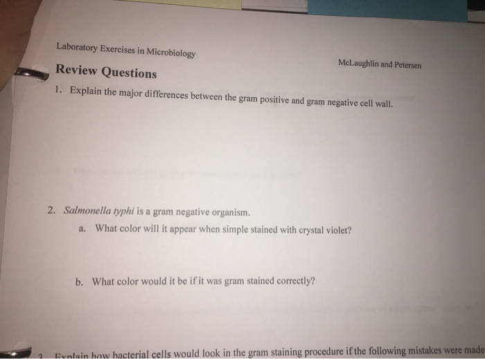 Solved Explain the major differences between the gram | Chegg.com