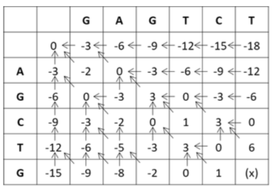 Solved 4) Global alignment between two DNA sequences, GAGTCT | Chegg.com