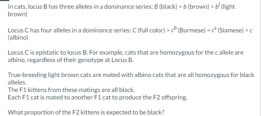 Solved In cats, locus B ﻿has three alleles in a dominance | Chegg.com