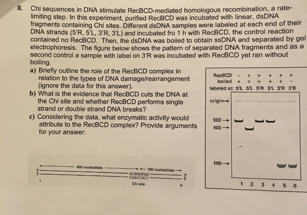 Il. Chi sequences in DNA stimulate RecBCD-mediated | Chegg.com