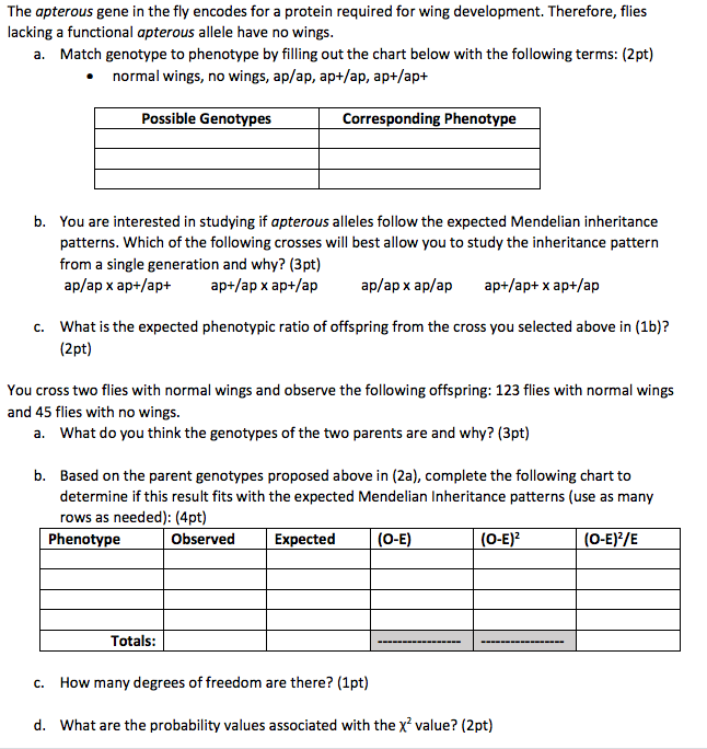 Solved The apterous gene in the fly encodes for a protein | Chegg.com