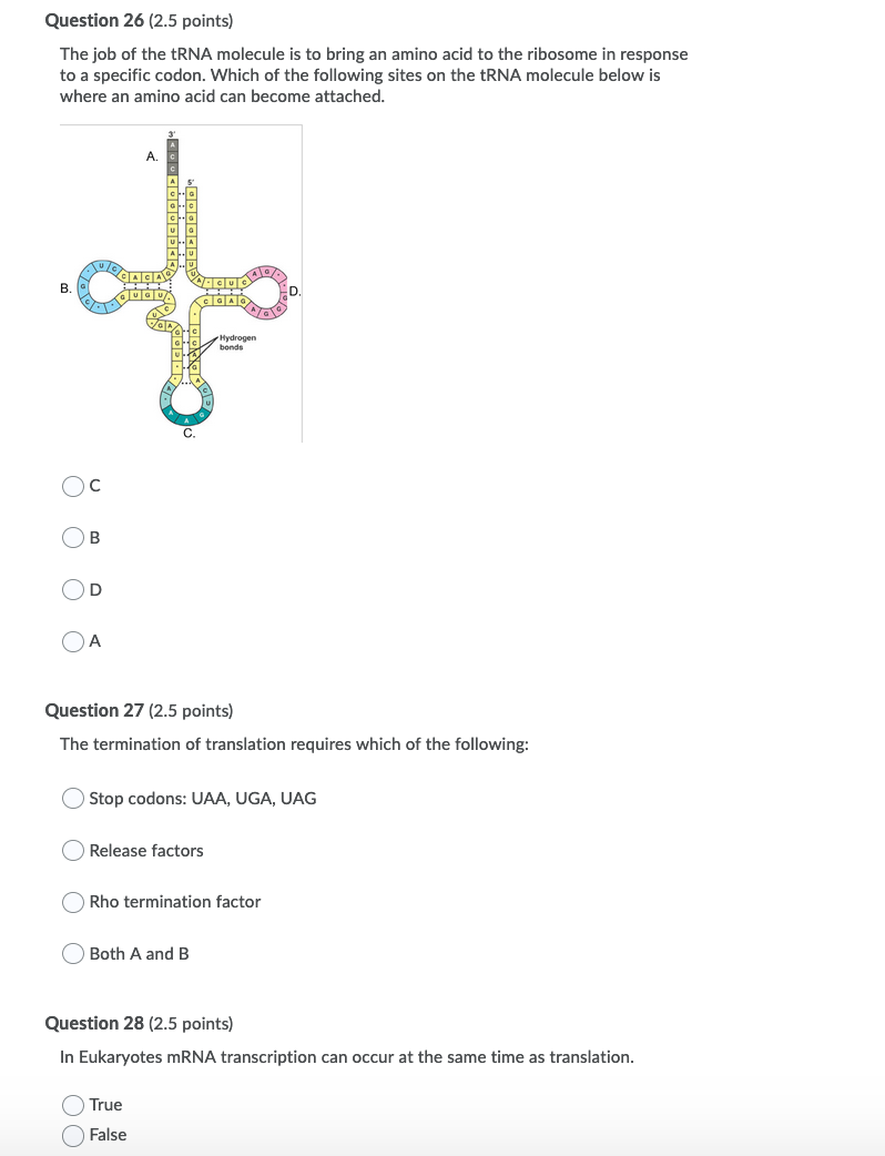 Solved Question 26 (2.5 points) The job of the tRNA molecule | Chegg.com
