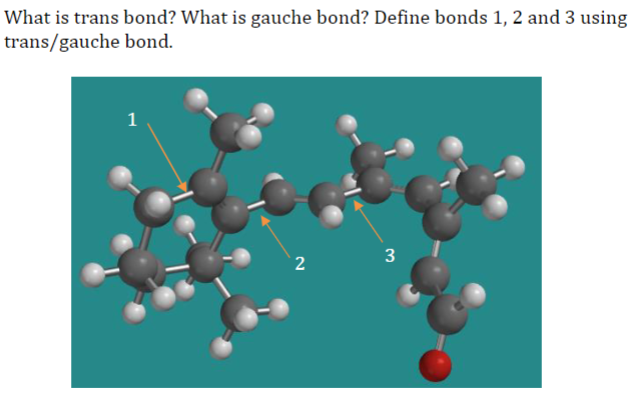 Solved What is trans bond? What is gauche bond? Define bonds | Chegg.com