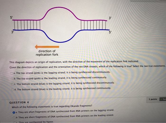 Solved The diagram depicts an origin of replication, with | Chegg.com