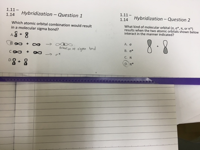 Solved 1.14 Hybridization - Question 1 .14 Hybridization | Chegg.com