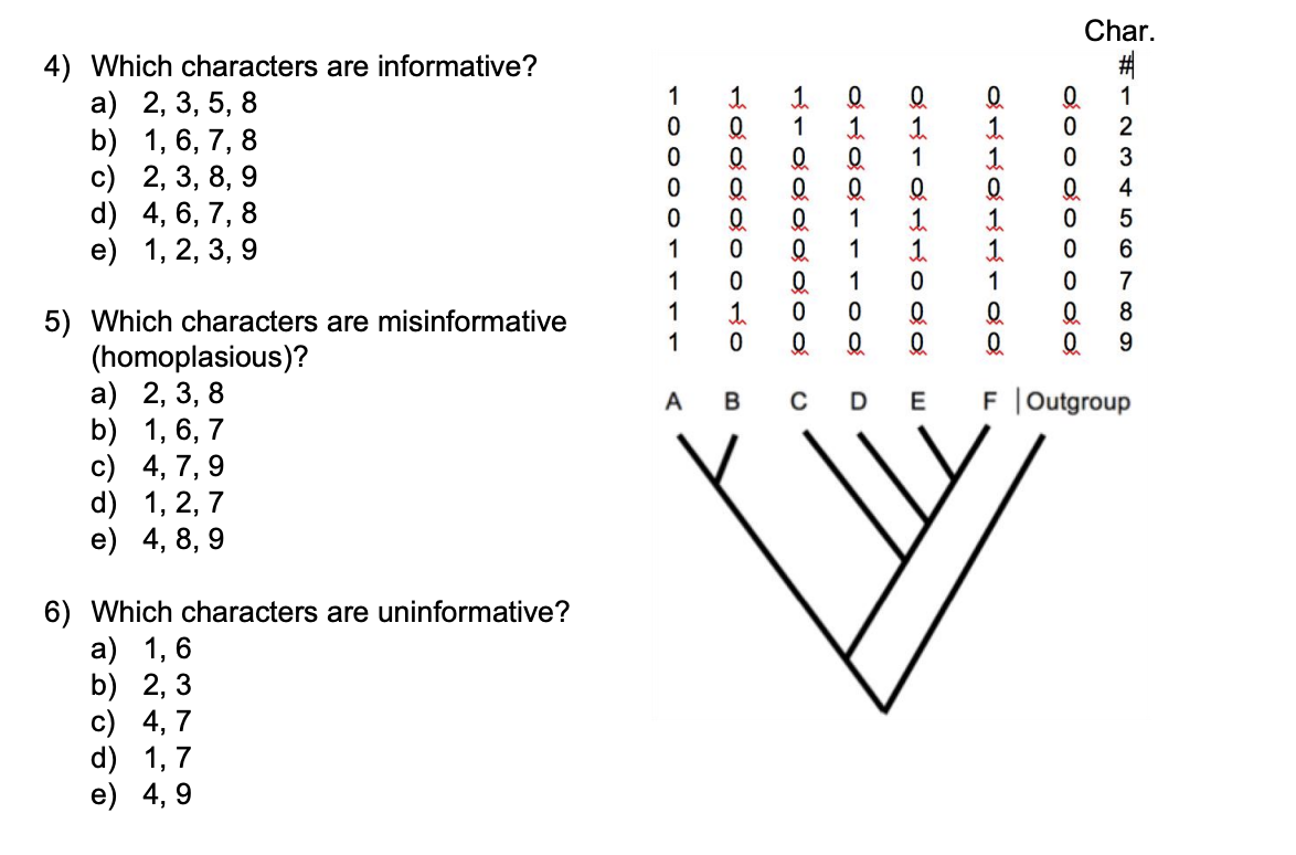 Solved 4) Which characters are informative? a) 2, 3, 5, 8 b) | Chegg.com