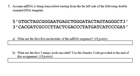 3. Assume mRNA is being transcribed starting from the | Chegg.com