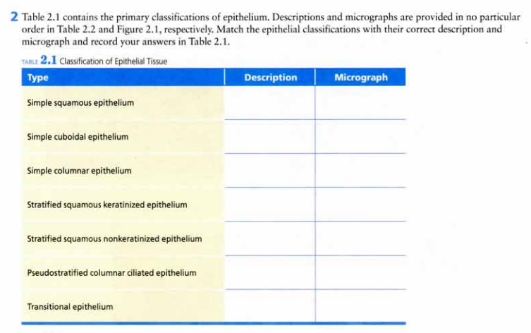 Solved 3 Identify, label, and color Figure 2.4 using the | Chegg.com