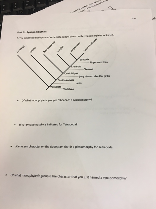 Solved Part III: Synapomorphies 6. The simplified cladogram | Chegg.com