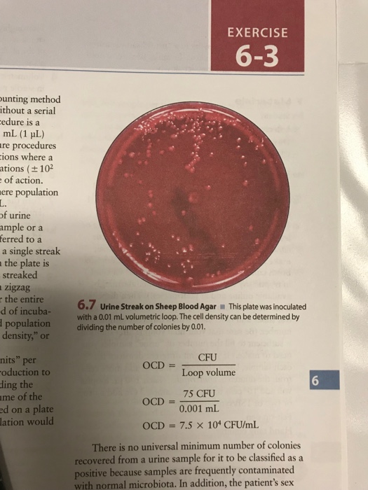 Solved Please help me answer this lab question. Thank you! | Chegg.com