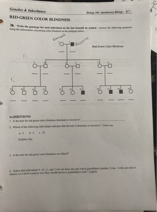 Solved Genetics & Inheritance &7 Biology 100-Introdactery | Chegg.com