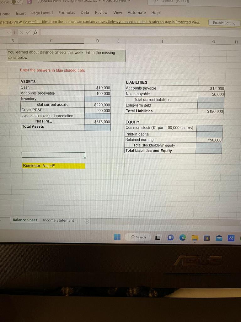 Solved You learned about Balance Sheets this week. Fill in | Chegg.com