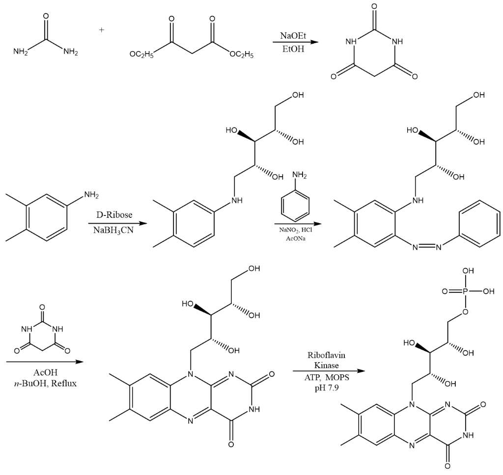 Solved hu NaOET EtOH NH NH NH2 NH2 OC2H5 OC2H5 OH OH НО, | Chegg.com