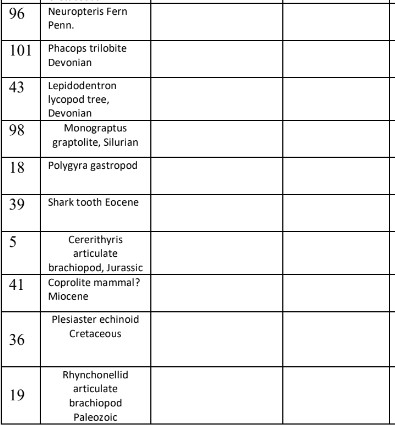 Solved Choose the Preservation Method and Symmetry for each | Chegg.com