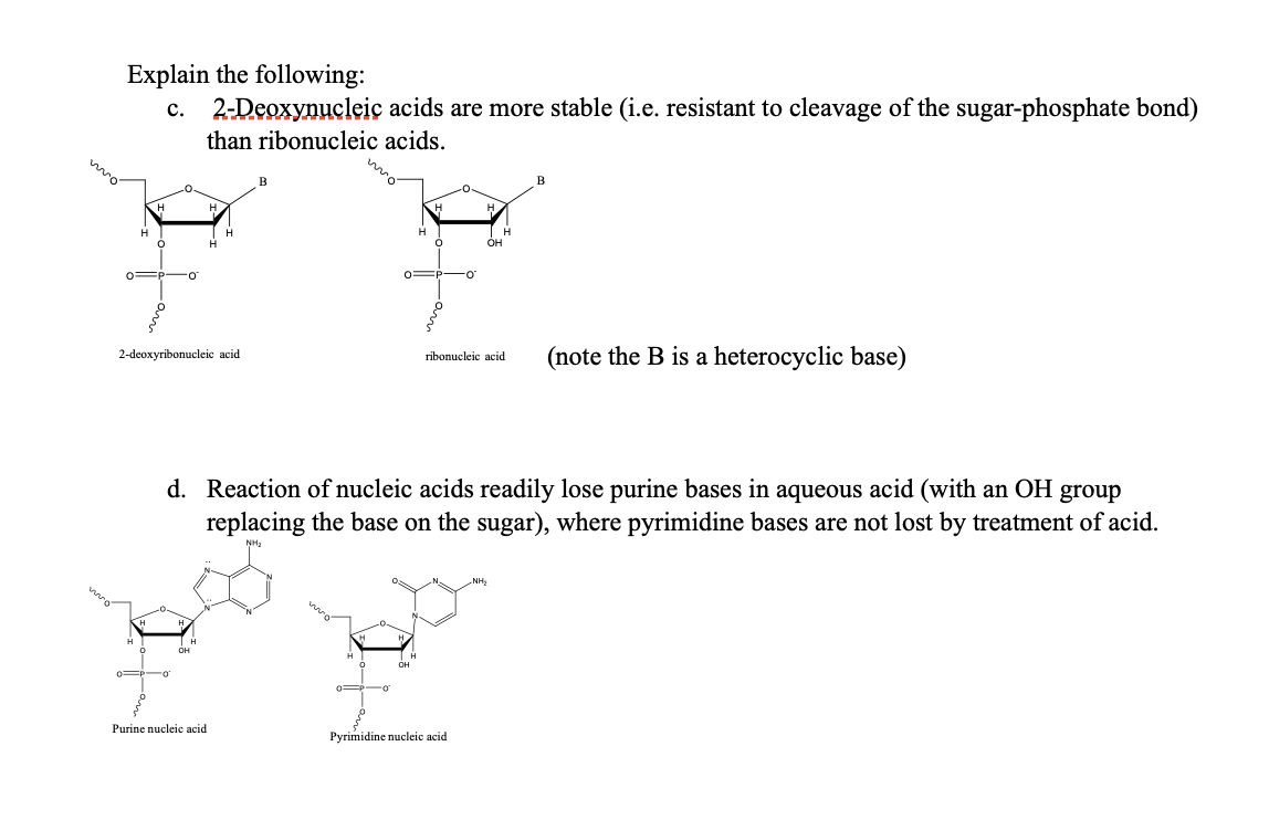 Solved d. ﻿Reaction of nucleic acids readily lose purine | Chegg.com