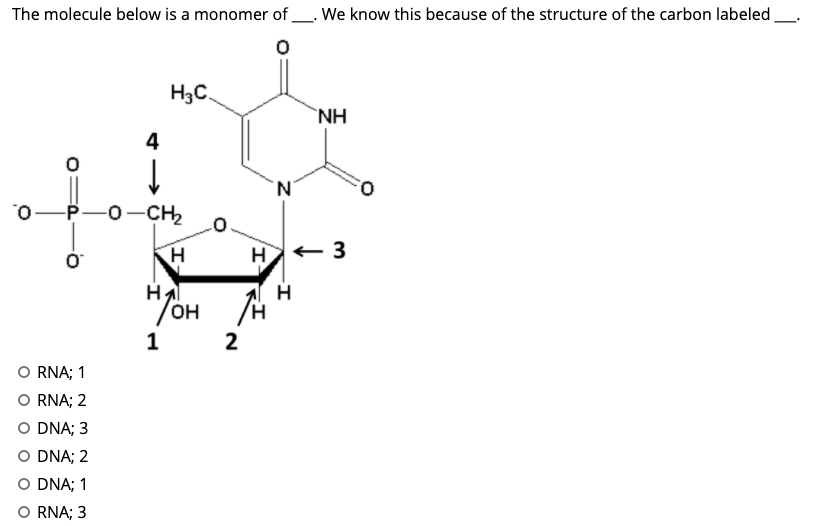 Labeled Molecule
