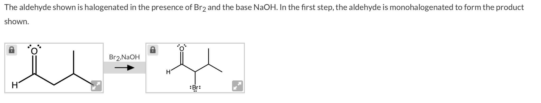 Solved The aldehyde shown is halogenated in the presence of | Chegg.com
