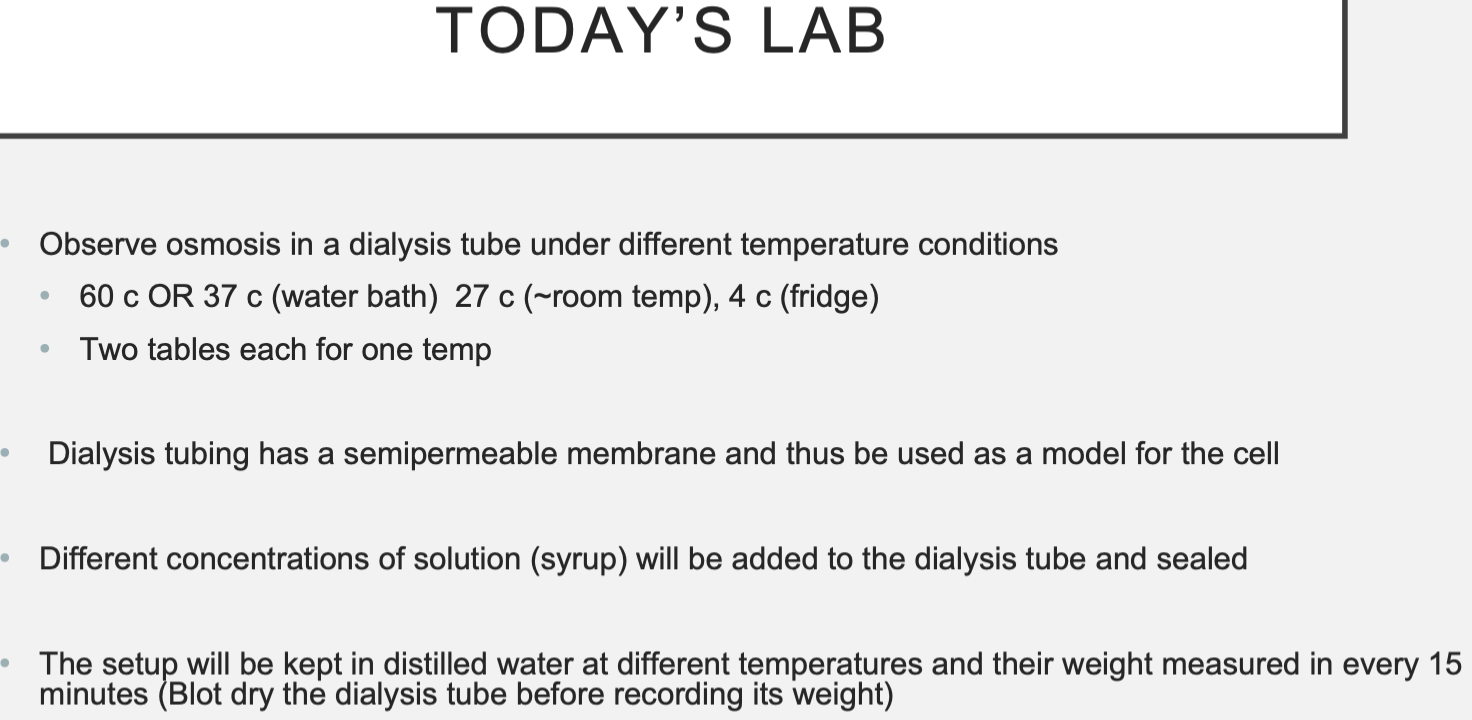 Solved TODAY'S LAB Observe osmosis in a dialysis tube under | Chegg.com