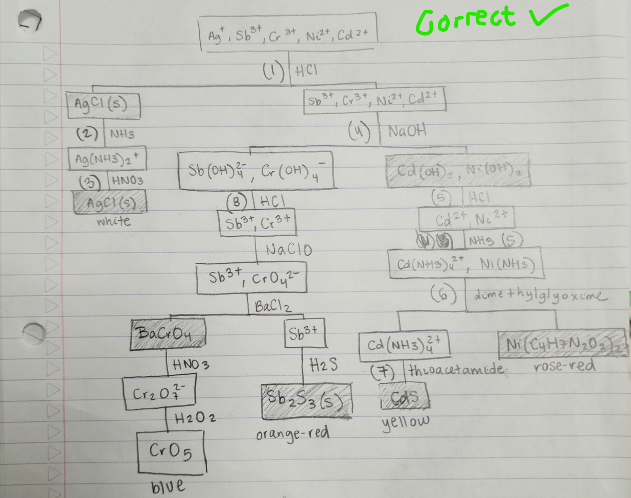 Solved Hello Expert, an Expert made a flowchart for me, and | Chegg.com