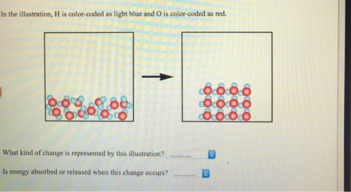 Solved In the illustration, H is color-coded as light blue | Chegg.com