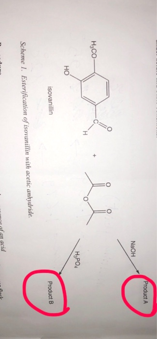 Solved provide me products A and B. This experiment named | Chegg.com