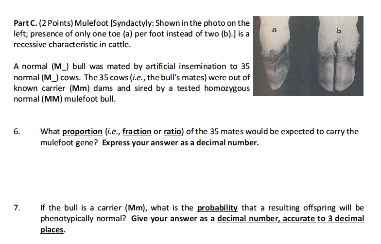 Solved Mulefoot Syndrome is a recessive trait in cattle. A | Chegg.com