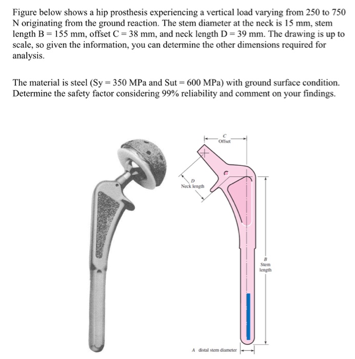 Figure below shows a hip prosthesis experiencing a | Chegg.com