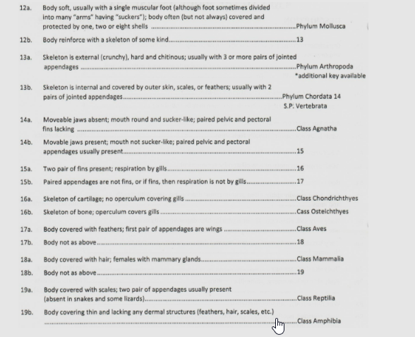 Solved insecu Domain: Eukarya Kingdom: Animalia Phylum: | Chegg.com