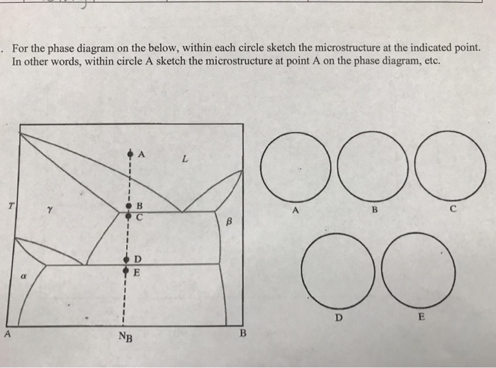 Solved For the phase diagram on the below, within each | Chegg.com