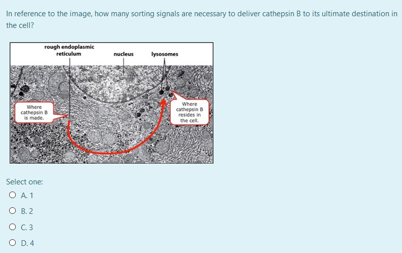Solved In reference to the image, how many sorting signals | Chegg.com
