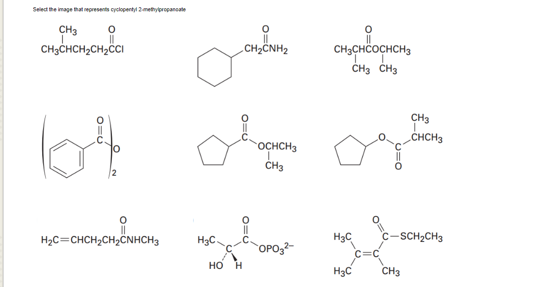 Solved Select the image that represents cyclopentyl | Chegg.com