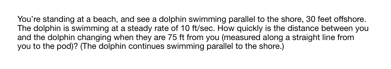 Solved You're standing at a beach, and see a dolphin | Chegg.com