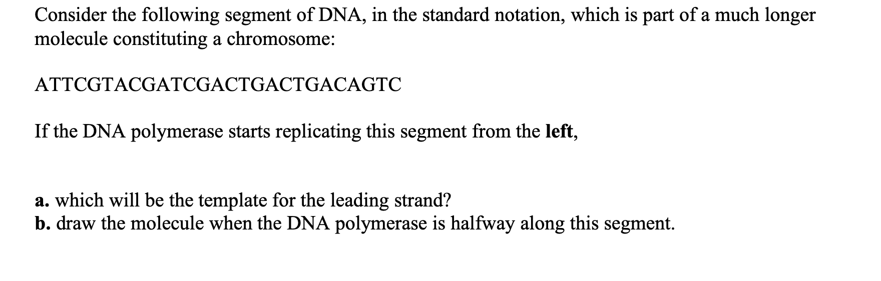 Solved Consider the following segment of DNA, in the | Chegg.com