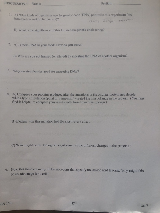 DISCUSSION 7 Name: Section: A) What kinds of | Chegg.com