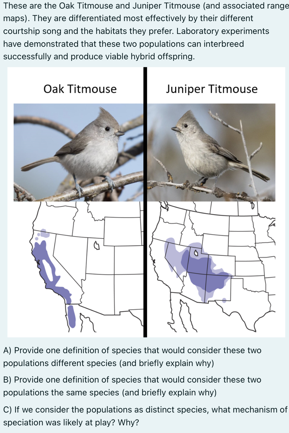 Solved These are the Oak Titmouse and Juniper Titmouse (and | Chegg.com