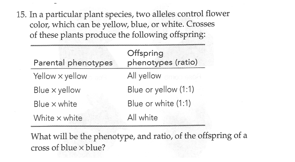 Solved In a particular plant species, two alleles control | Chegg.com