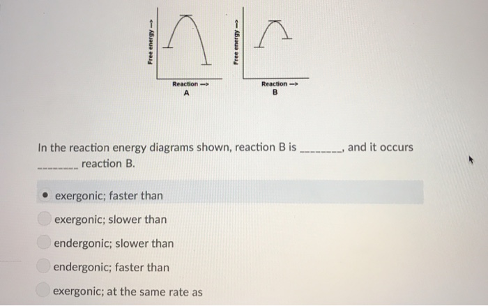 Solved Reaction Reaction- In the reaction energy diagrams | Chegg.com