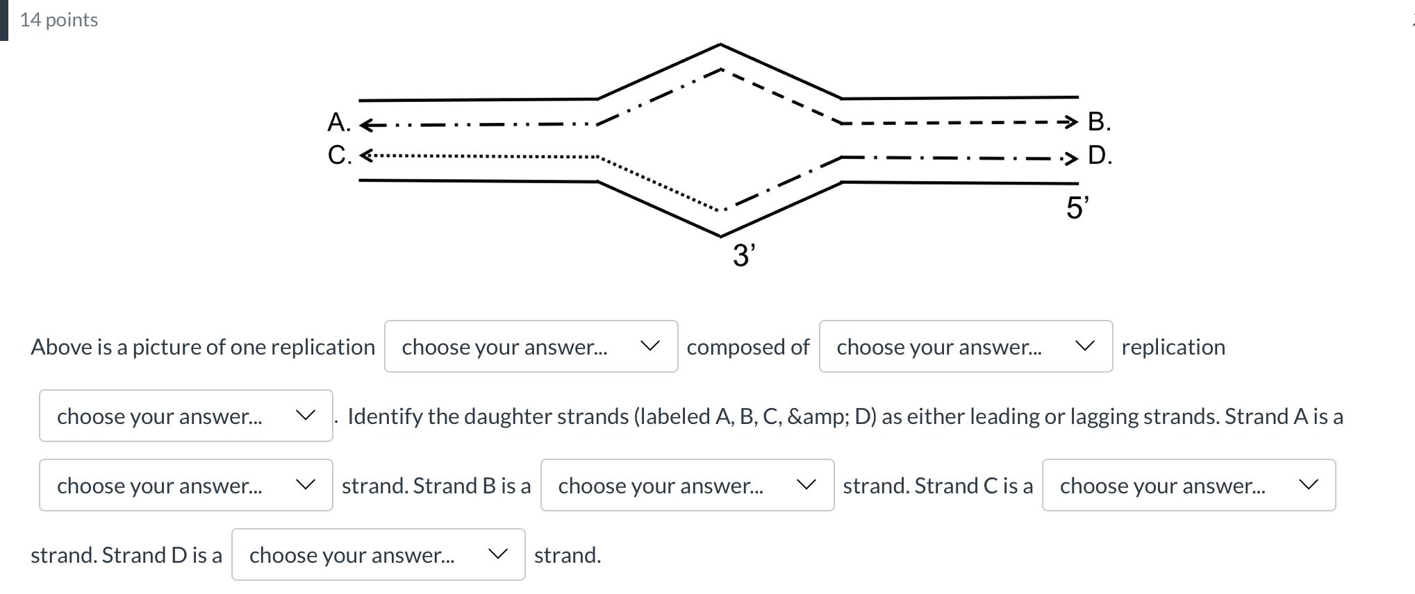 Solved 14 points Above is a picture of one replication | Chegg.com