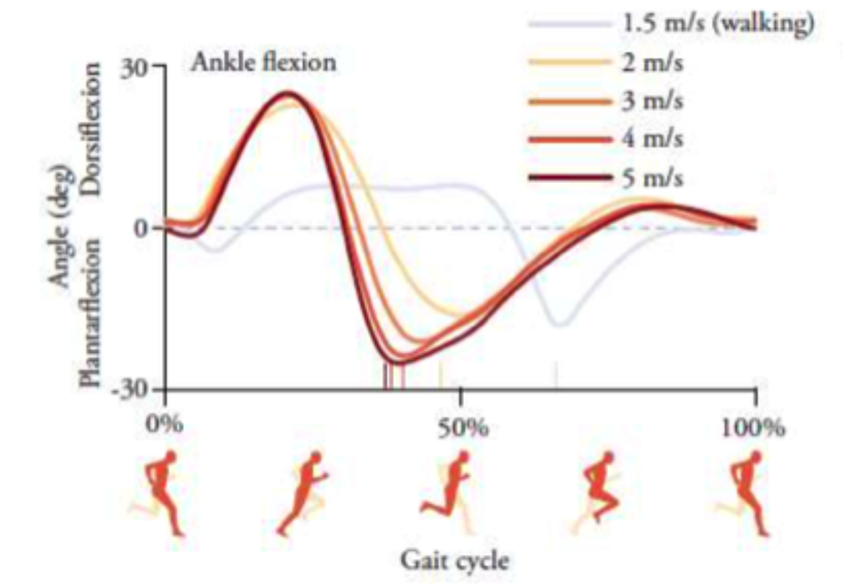 Solved Examine the plot of ankle flexion angle over a gait | Chegg.com