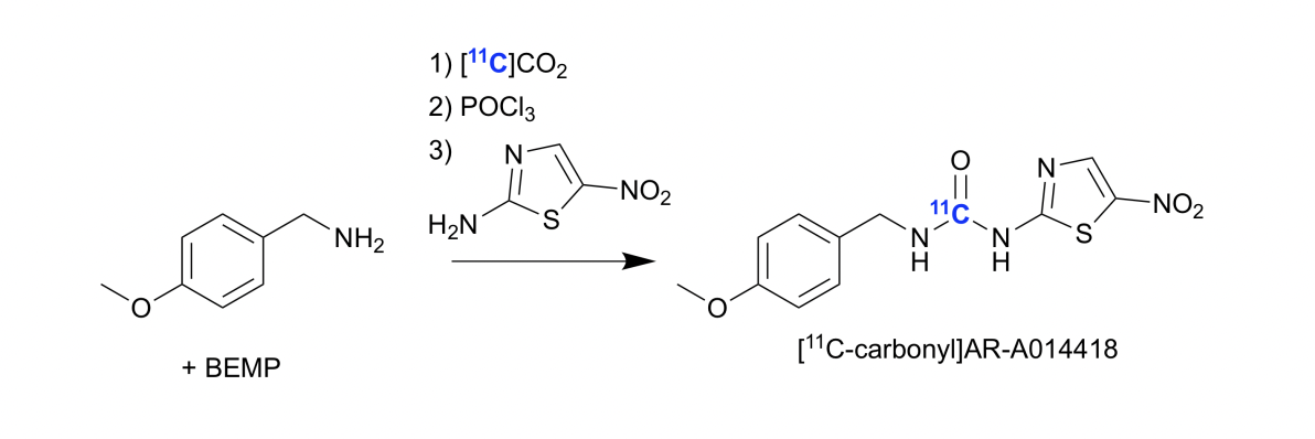 Solved 2) POCl3 3) + BEMP [11C-carbonyl]AR-A014418 | Chegg.com