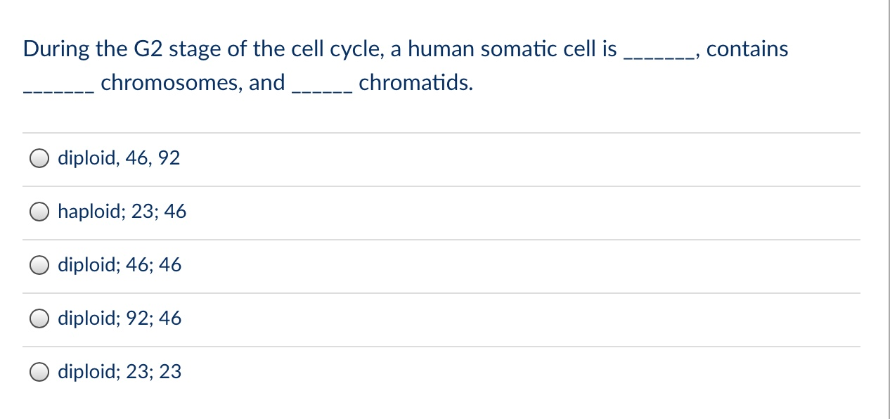 Solved contains During the G2 stage of the cell cycle, a | Chegg.com