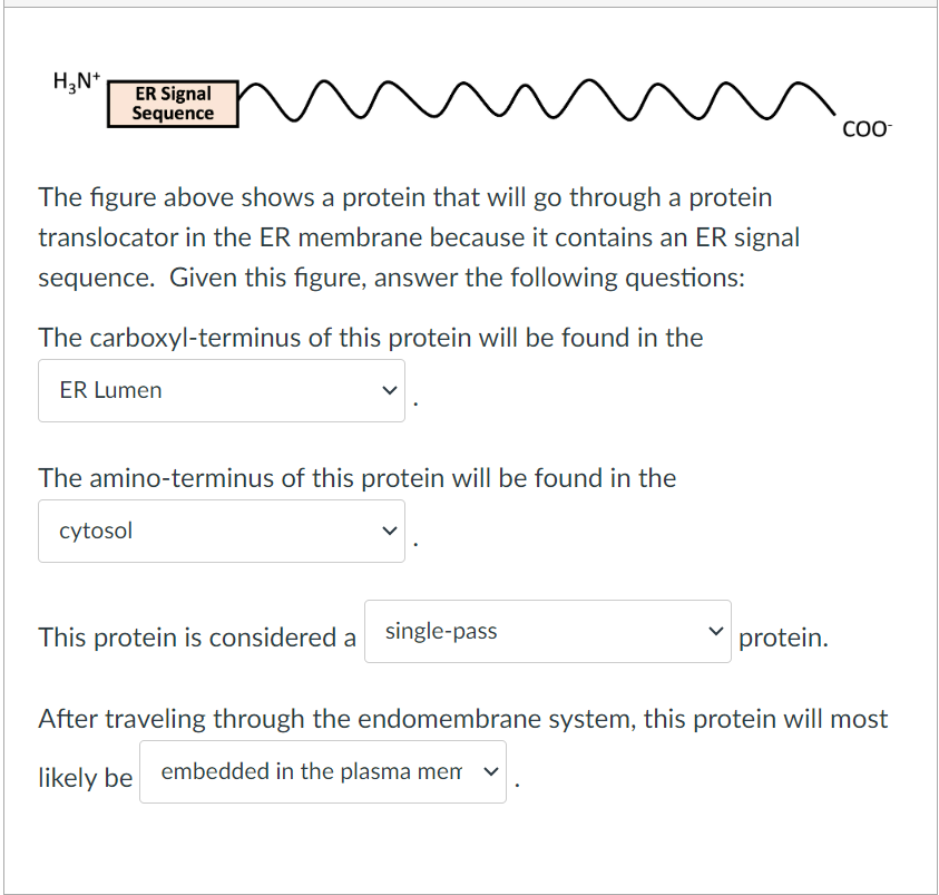 Solved The figure above shows a protein that will go through | Chegg.com