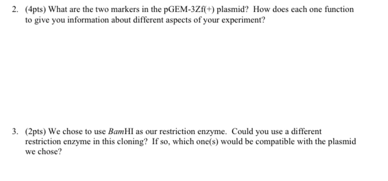 Solved 2. (4pts) What are the two markers in the PGEM-3Zf(+) | Chegg.com