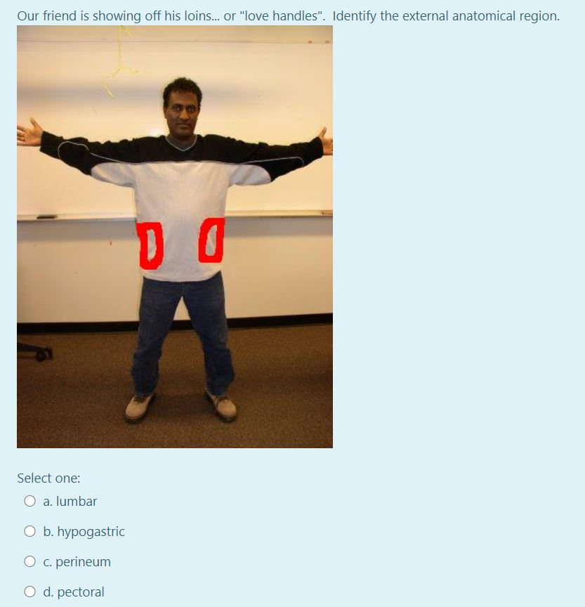 Solved Our friend is showing off his loins... or "love | Chegg.com