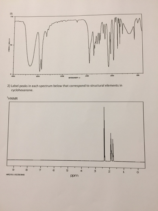 Solved 1) The proton NMR, carbon NMR and IR spectra for | Chegg.com