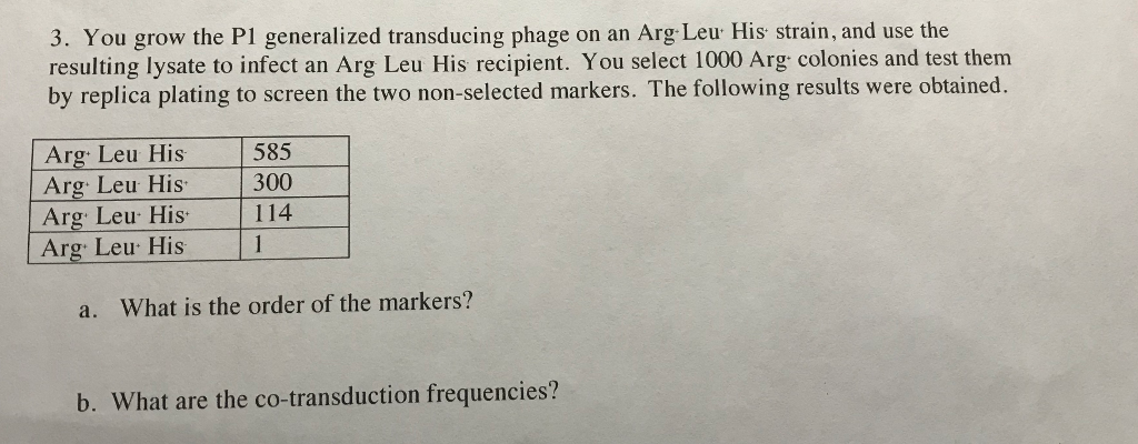 Solved 3. You grow the P1 generalized transducing phage on | Chegg.com