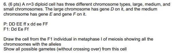Solved (6 pts) A n=3 diploid cell has three different | Chegg.com